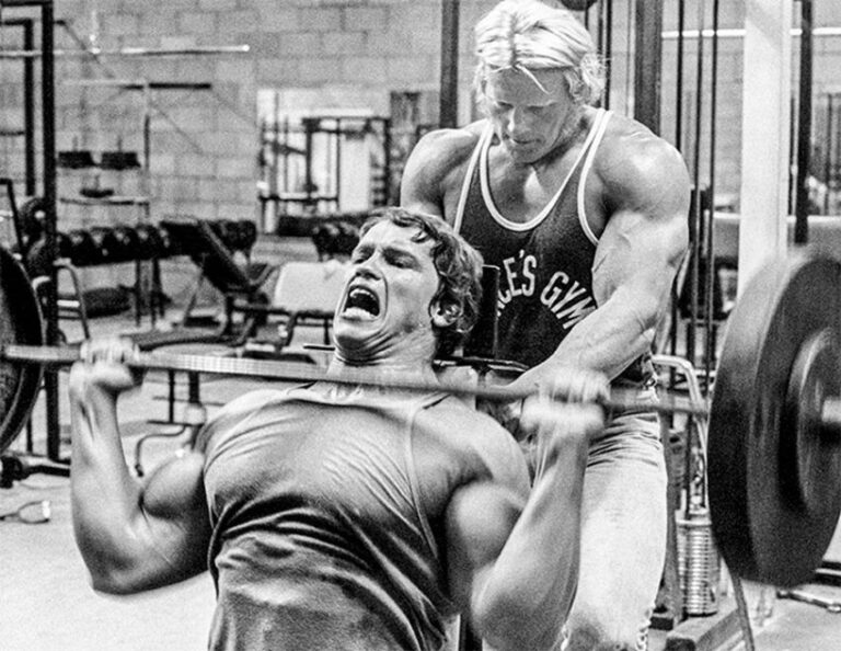 Arnold Schwarzenegger: Bodybuilding Legend and Workout Program